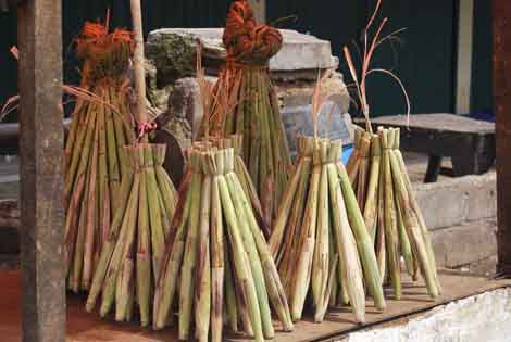Makanan Khas Kota Luwuk Edisi I - Pisang Goreng Louwe dan Sayur Lilin ...