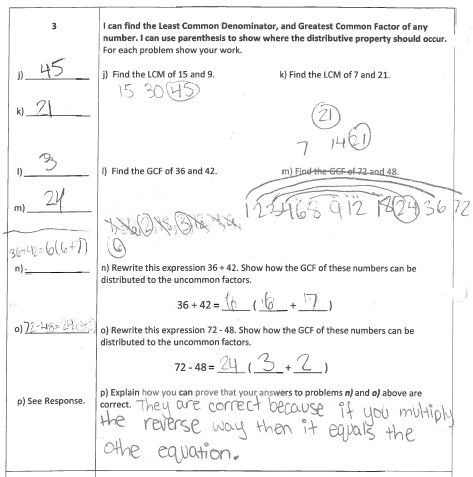 Student Work Samples with Marzano Scales