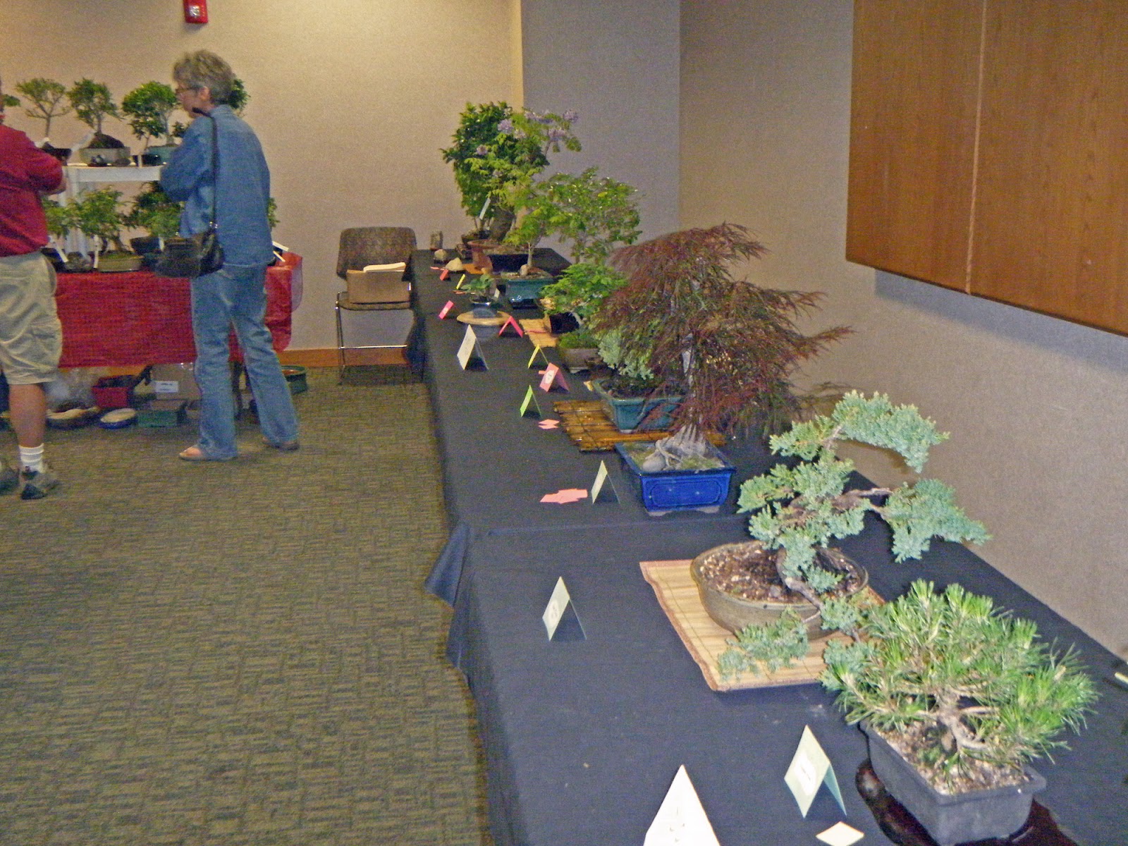 Bonsai in Hoosierland: Ft. Wayne Bonsai Club Spring Show
