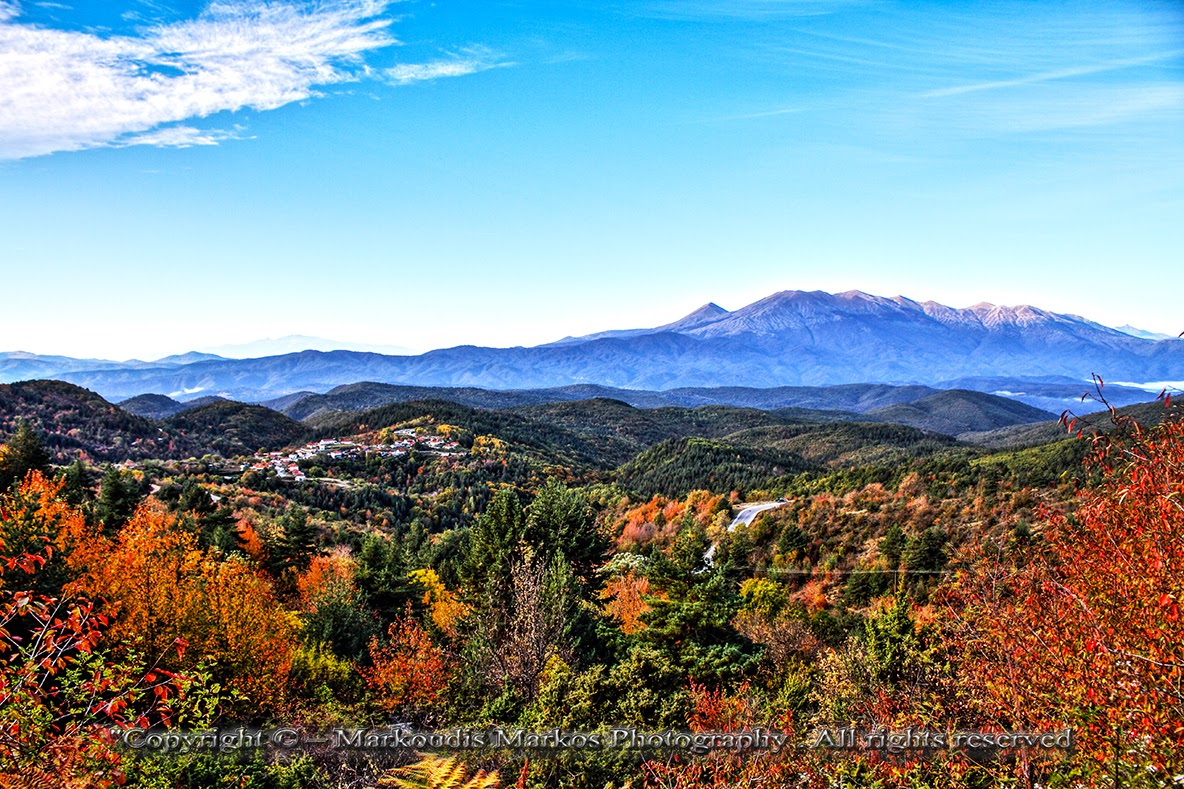 Hellas photography: Rodopi Mountain Range National Park (forest Elatia)