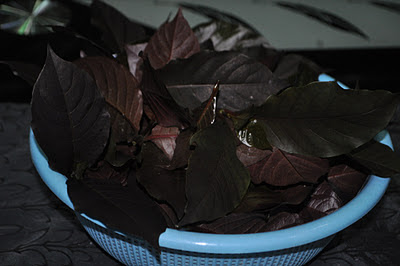 Love 4 Beloved Wife Suhaila: rendang ayam daun puding