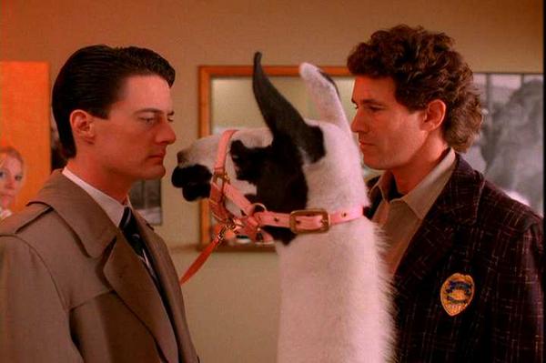 brainwashed by smalltalk: A very David Lynch Halloween!