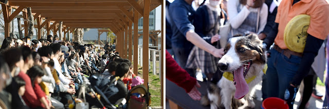 JAPANKURU: Things to do in Kobe 🐹 Top Japanese Zoo That Let's You ...