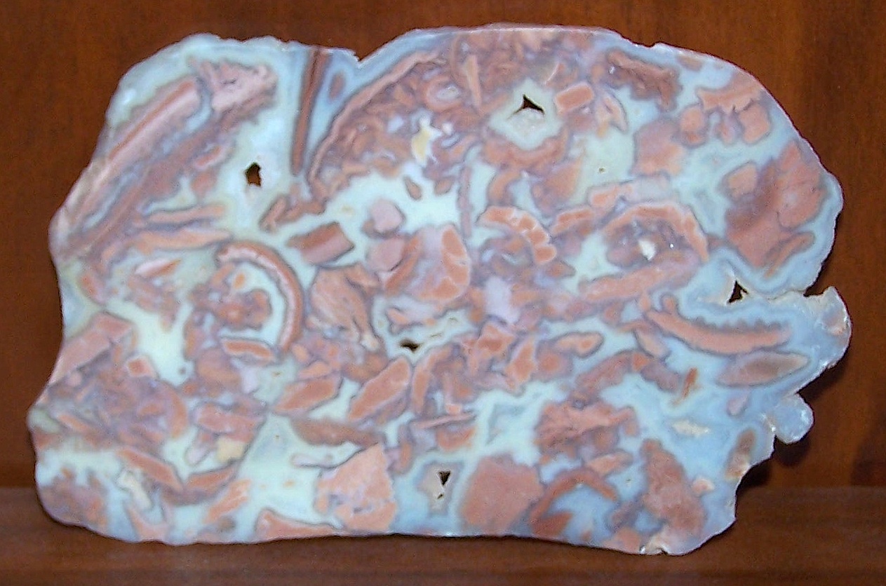 Rockin Joe's: Wyoming Youngite