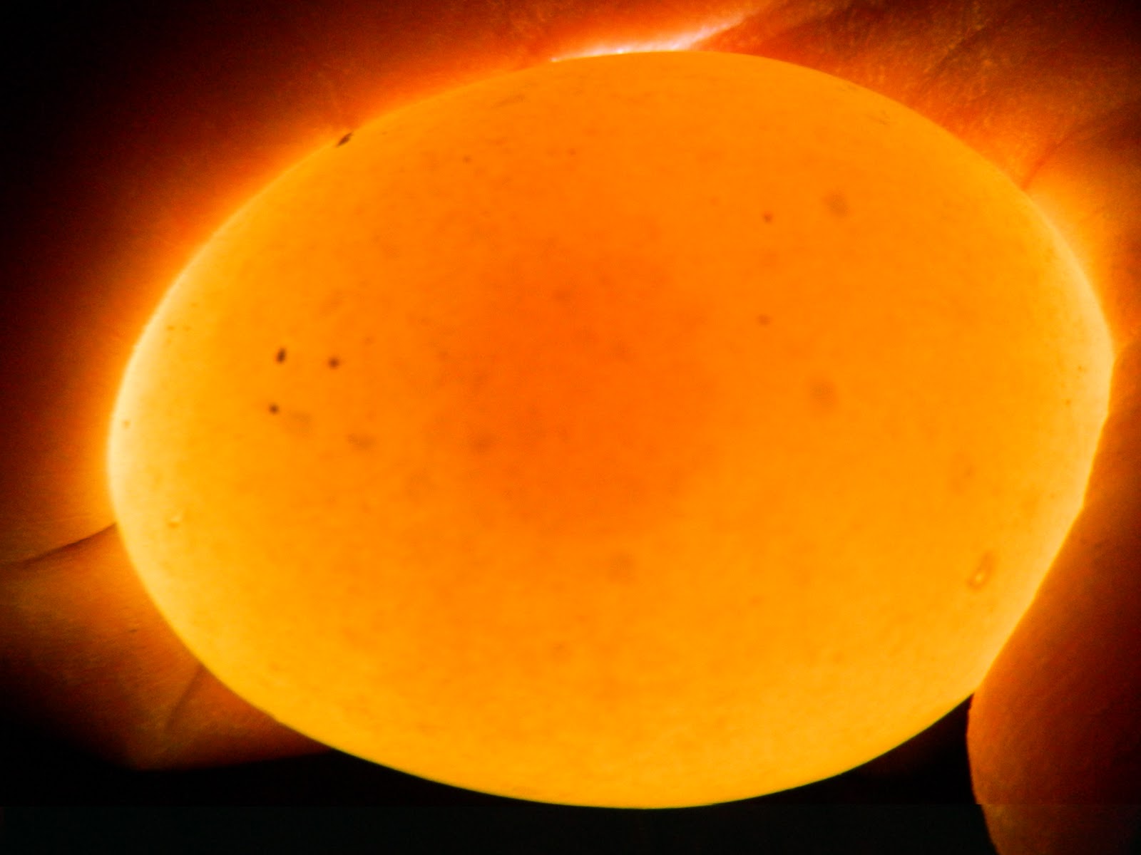 Always something new: Egg Candling, incubating, Hatching with photos ...