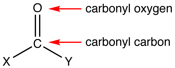 College. Science. Life: Organic Chemistry Solomon and Fryhle: Ch2 ...