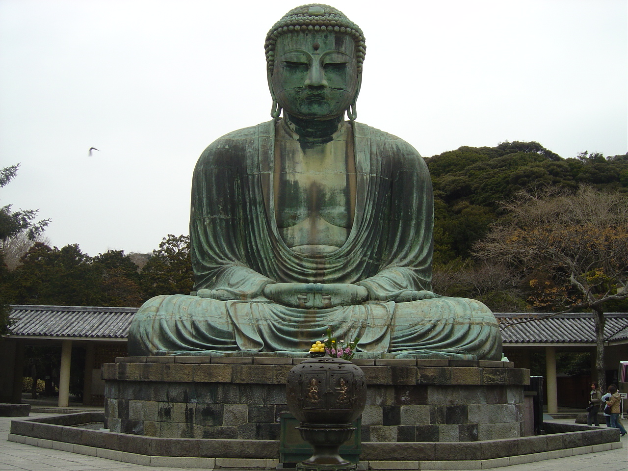 El Poder del Reiki: BUDA