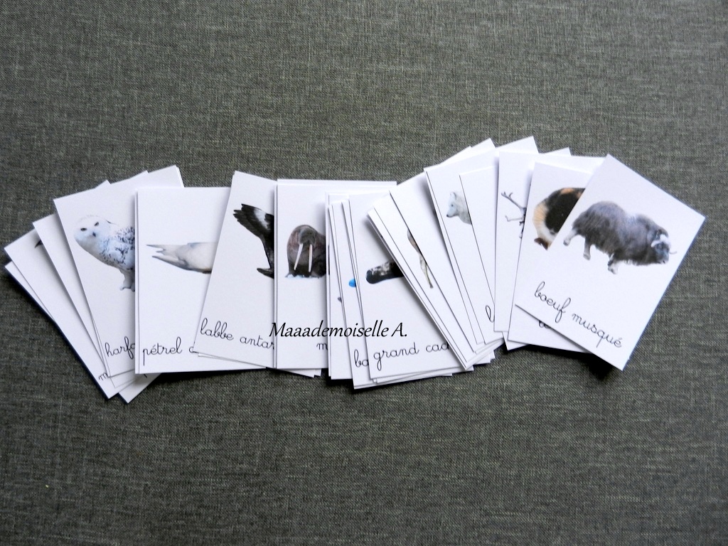 Maaademoiselle A.: || Cartes de nomenclature à télécharger gratuitement ...