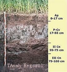 AGROTEKNOLOGI 013 (ashyer Nerotouw): SIFAT DAN CIRI-CIRI TANAH DI ...