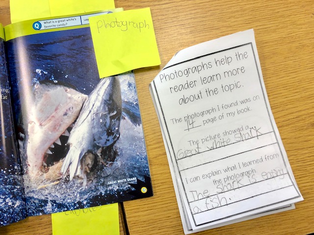 Primary Graffiti: Informational Writing