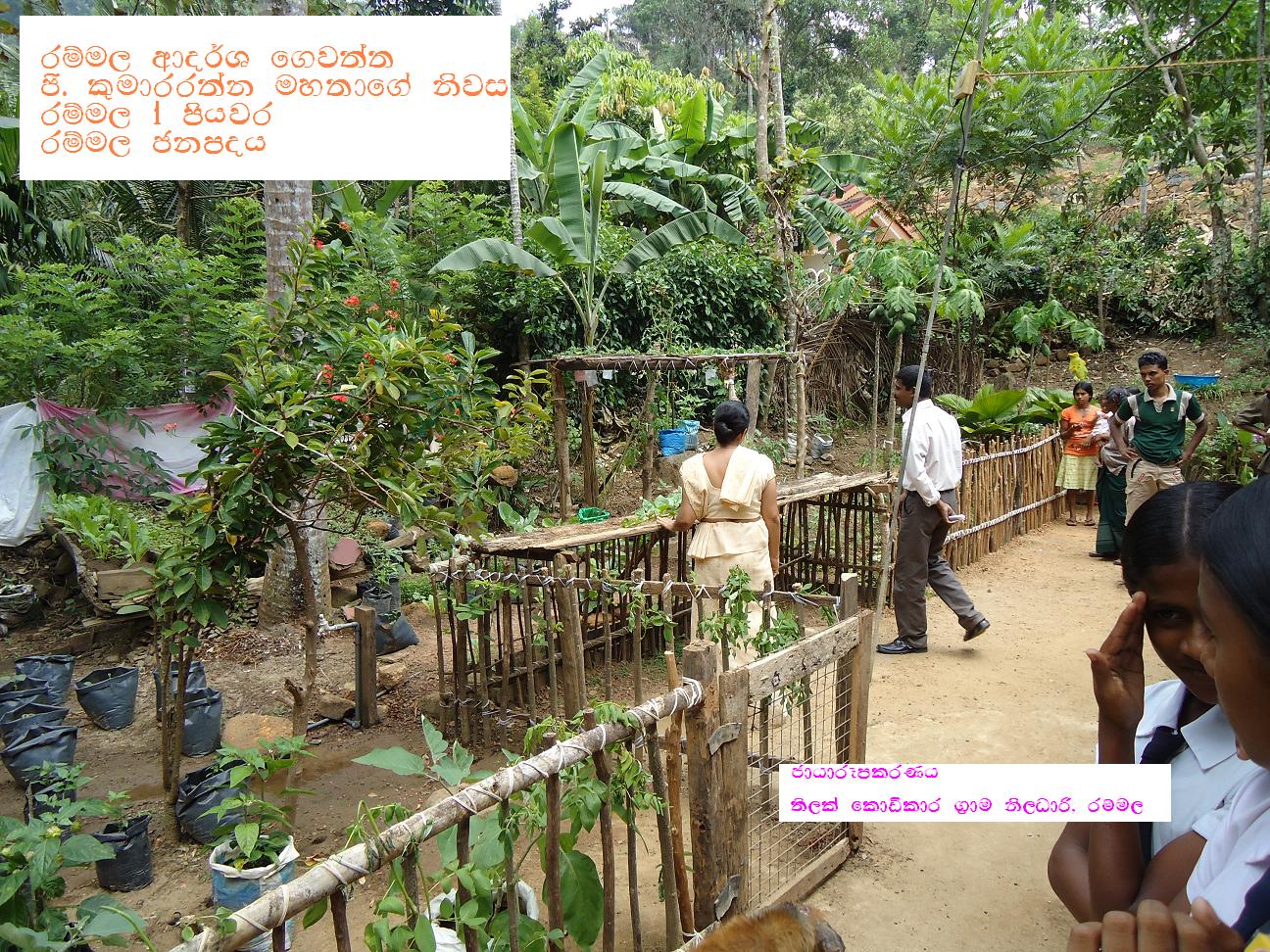 Rammala Divi Neguma: ආදර්ශ ගෙවත්ත