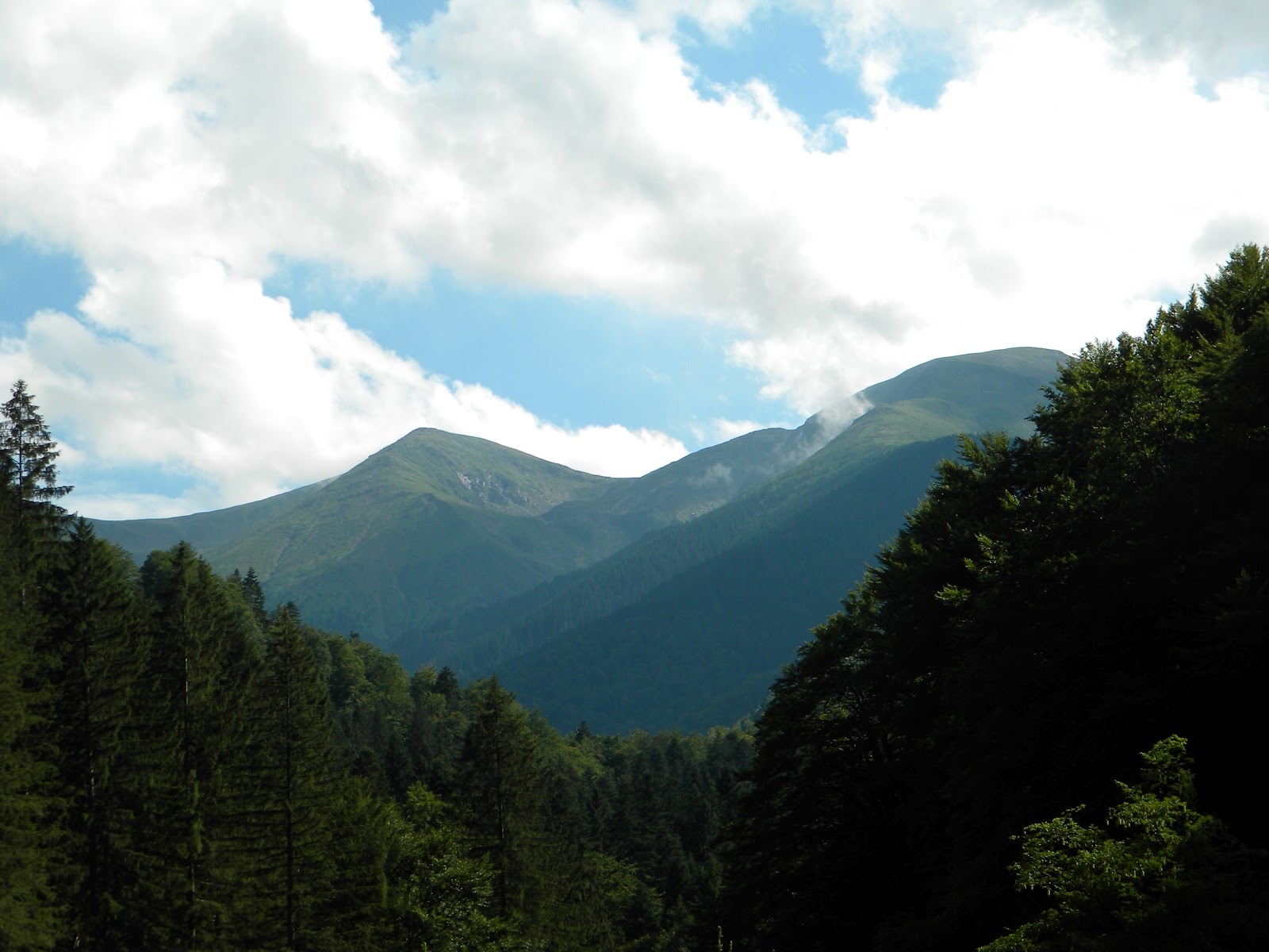 lumea in albastru: Valea Avrigului