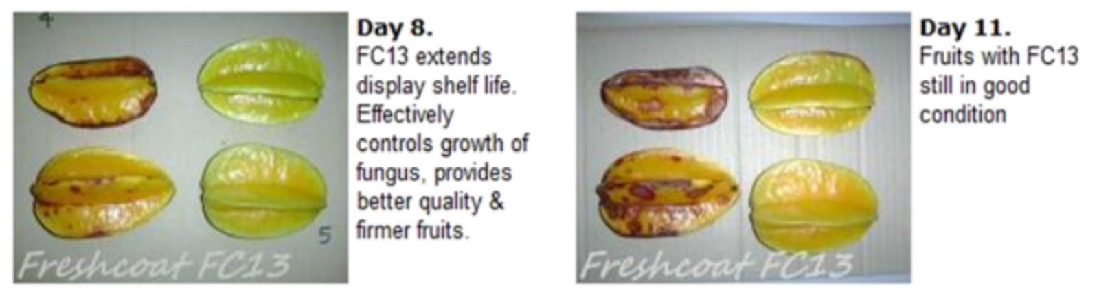 not extraordinary note..: rantai pendingin pascapanen buah belimbing ...