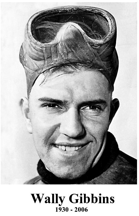 WALLY GIBBINS