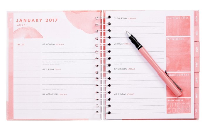 Planning the New Year: 2017 Planners & Organisers | MaquiLab