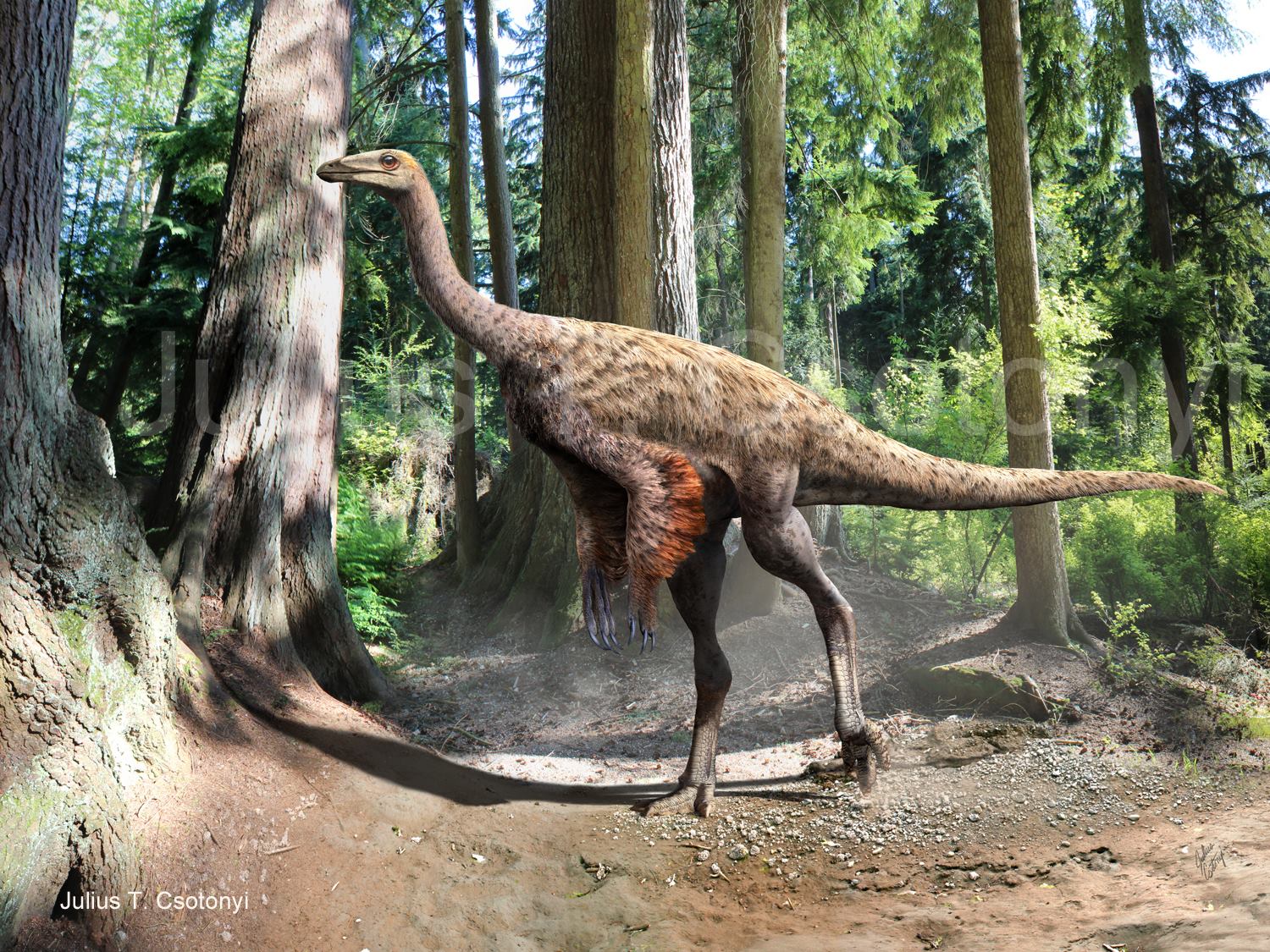 Species New to Science: [Paleontology • 2016] A Densely Feathered ...