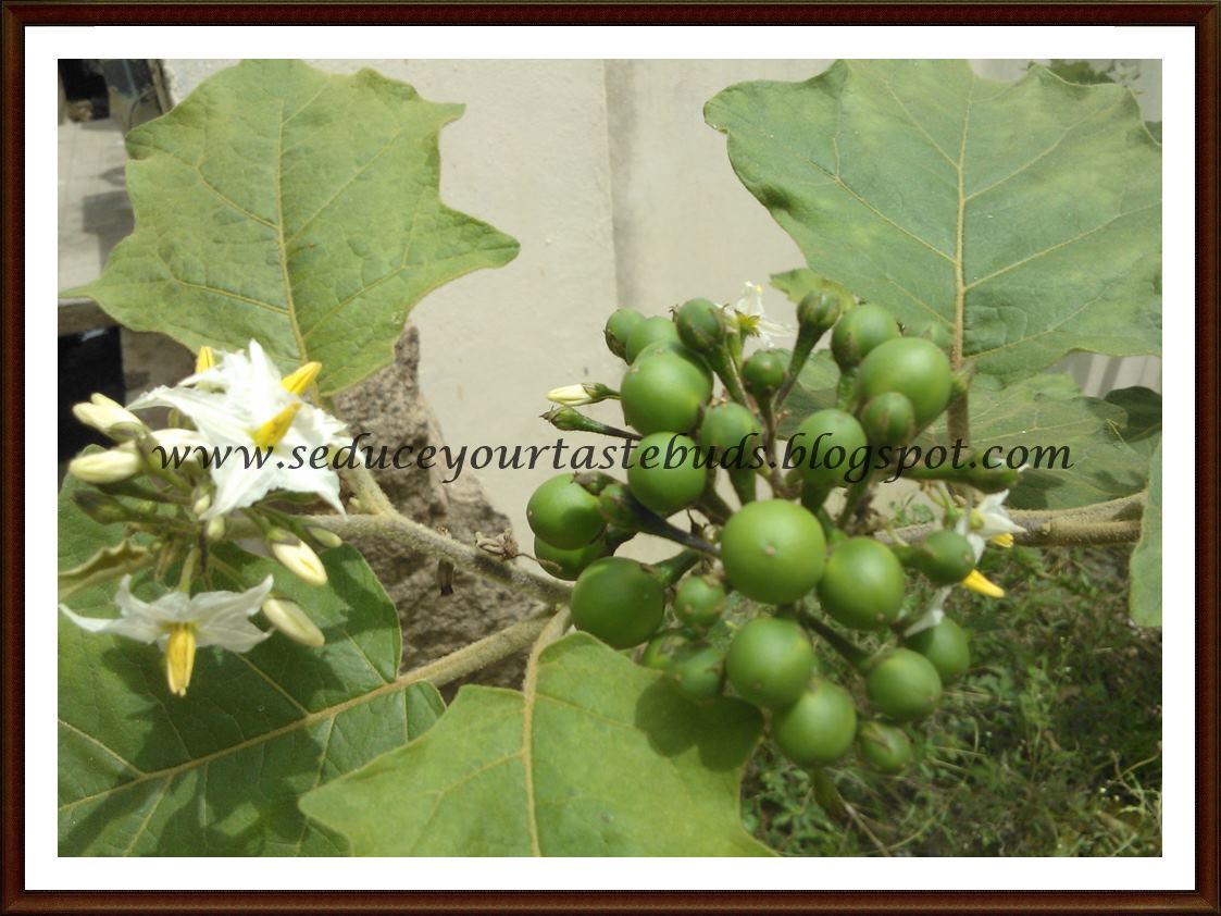 Sundakkai Poondu Kuzhambu | Turkeyberry- Garlic Stew - Seduce Your ...