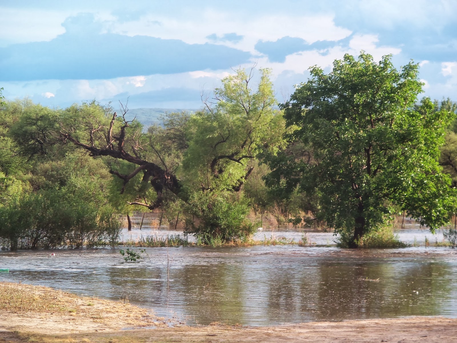 Periodismo de Traslasierra: EL RIO DE LOS SAUCES ESTA VIVO
