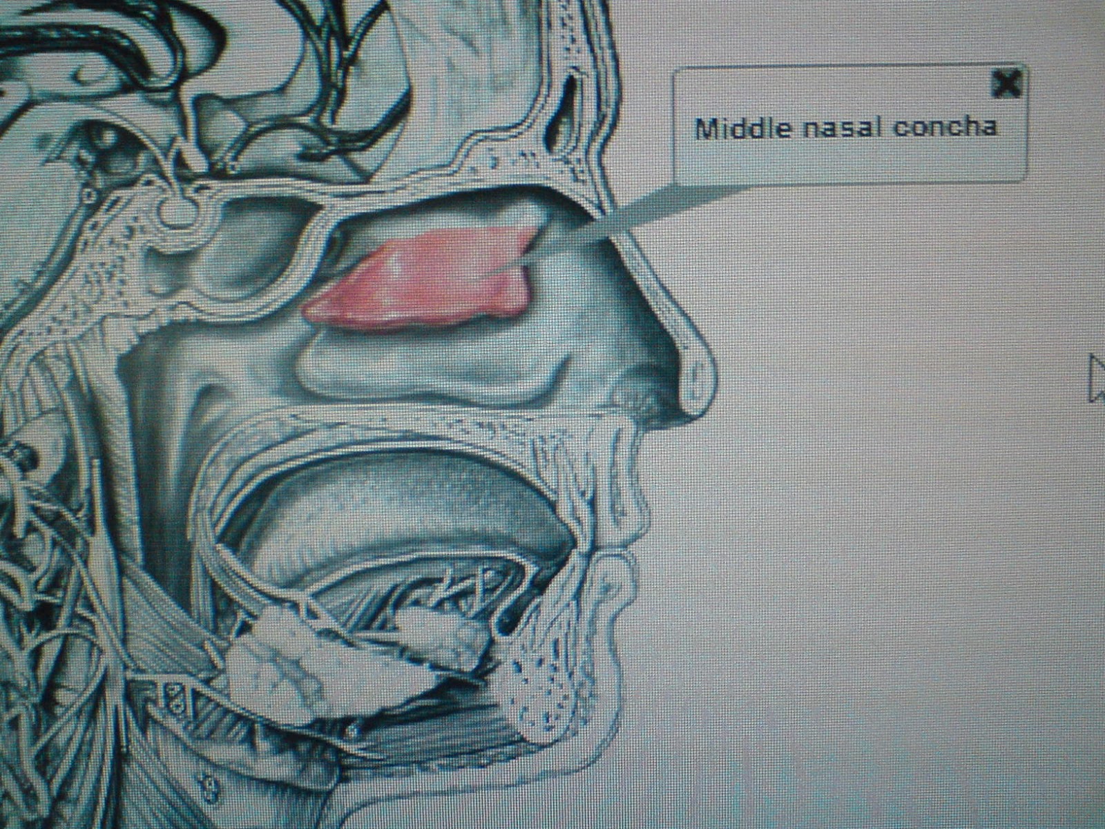 Understand to learn: Reporte de Práctica