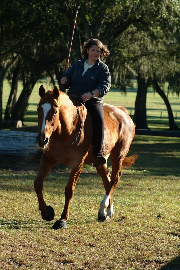 Your Journey to Savvy: My 101 Guide to Parelli Natural Horsemanship!