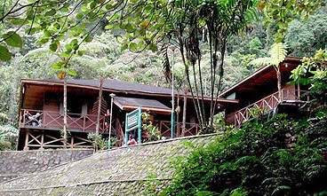 Taman Nasional Gunung Halimun ( TNGH ) | Blog Deniededen