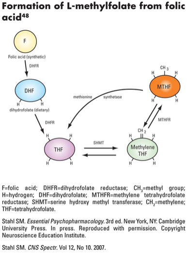Precisamos falar sobre o ácido fólico - metilfolato e o perigo do ...