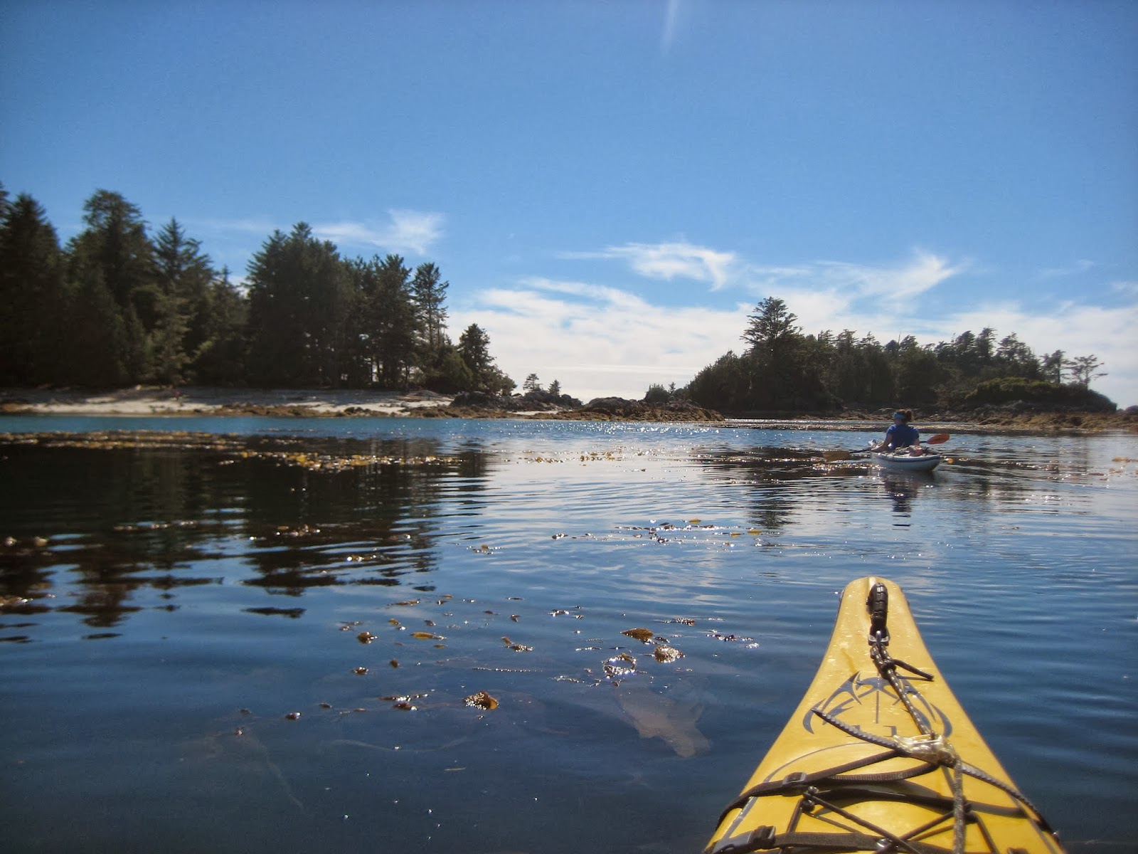 Jenny's Mountain Adventures: Broken Islands Kayak Trip (Late June)