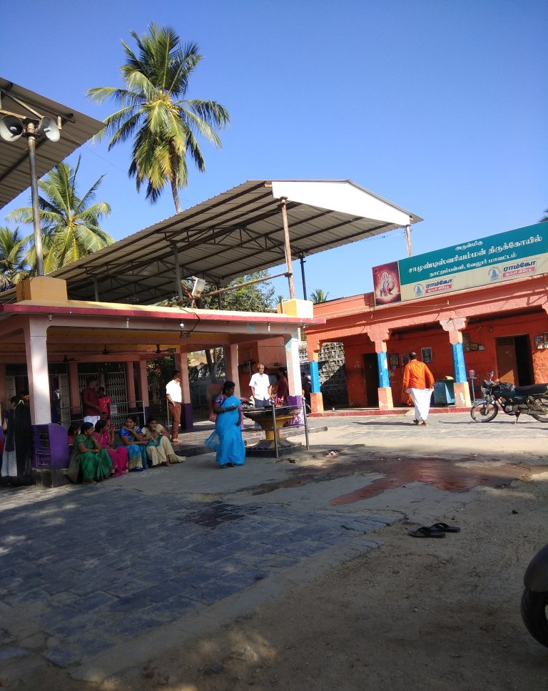 Tamilnadu Tourism: Chamundeeswari Amman Temple, Natrampalli, Vellore