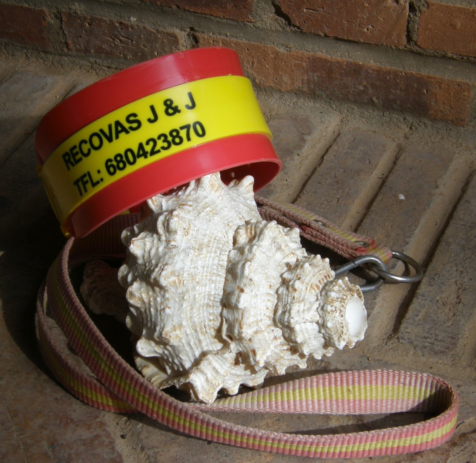 Recovas JJ: ¿Quiénes somos?