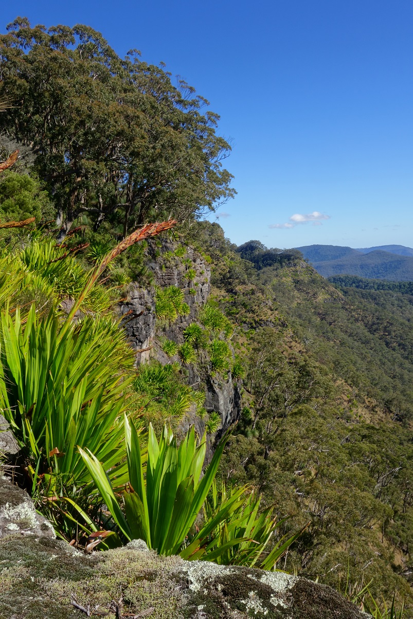 Conqueror of the Mountains of Australia in General and South East ...