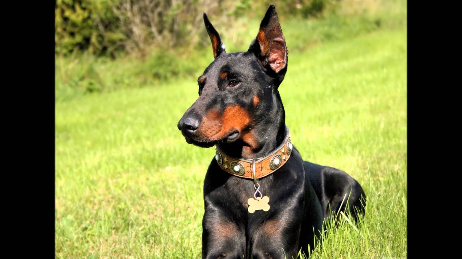 Los gustos de Ricardo: octubre 2016