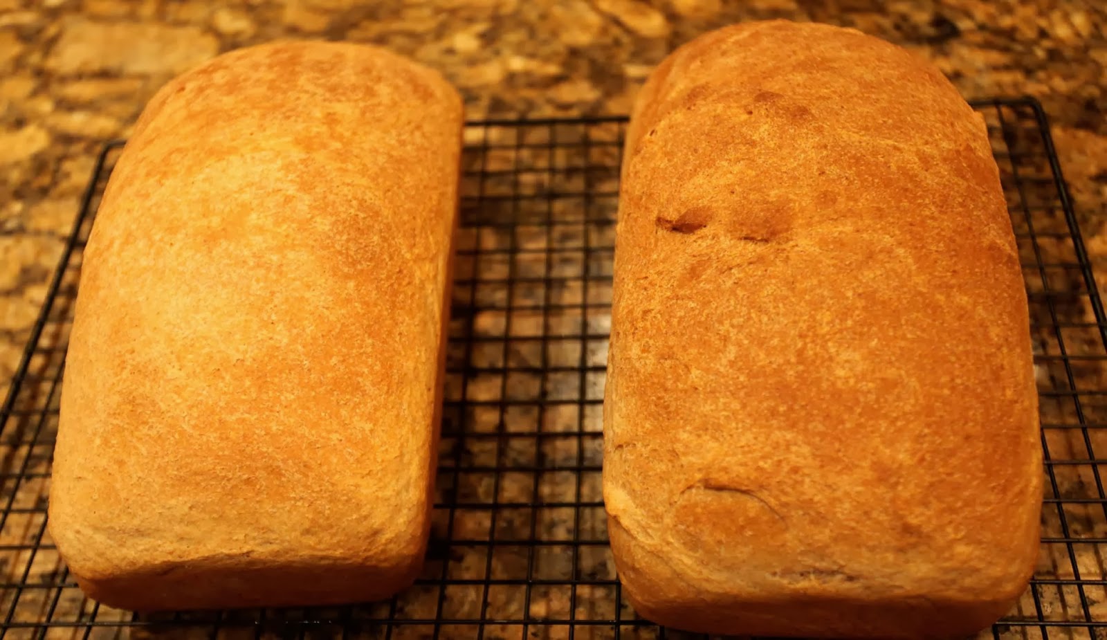 Dark Mother Bread for Mabon