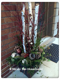 Heidi Horticulture: Creating Christmas Outdoor Designs from Plants in ...