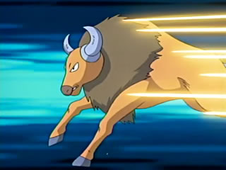 Ataques de Pokémon: Taurus