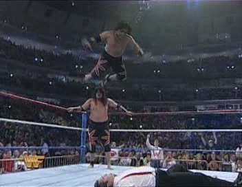 Wrestlemania para siempre: SummerSlam (1994)