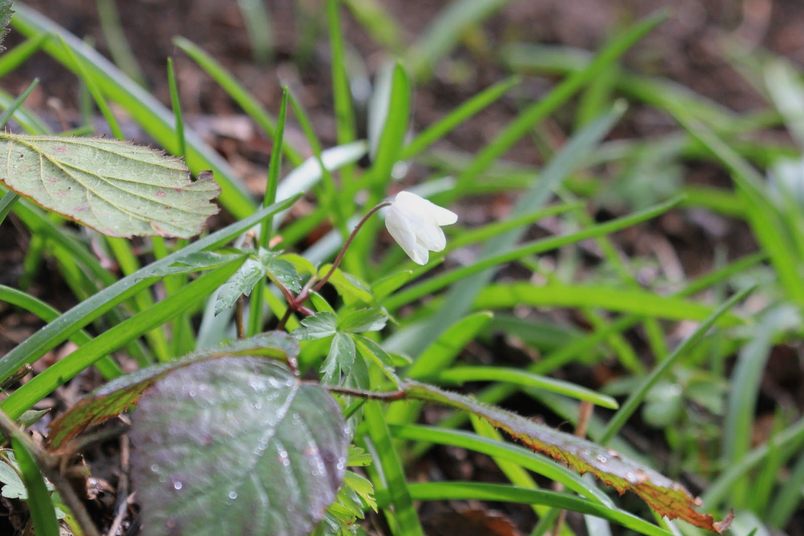 andrew bulmer photography