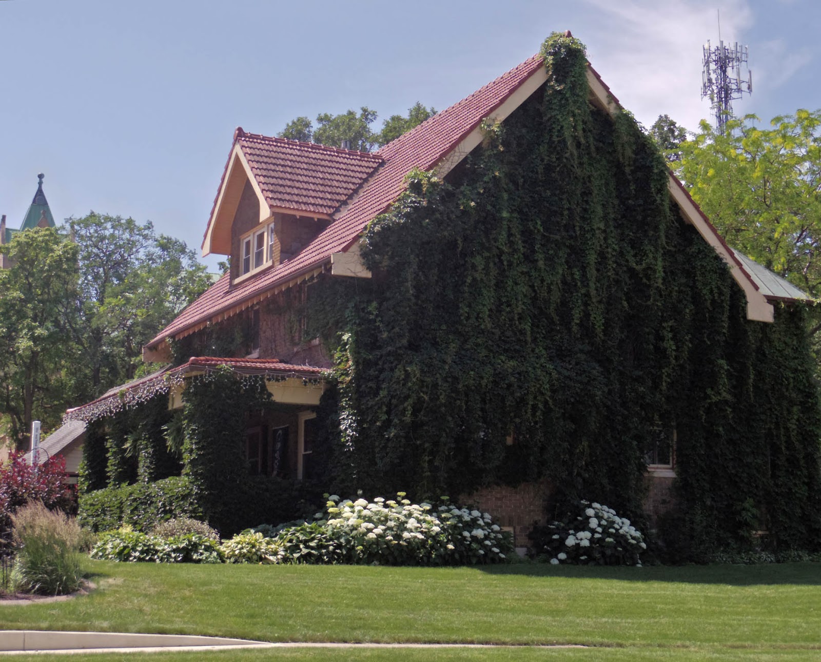 Flippism Is The Key: Waseca Wonders