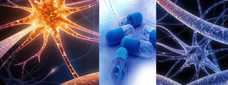 Nootropics - What Is It And How Could It Be Favorable For Health ...