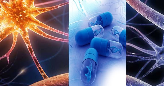 Nootropics - What Is It And How Could It Be Favorable For Health ...