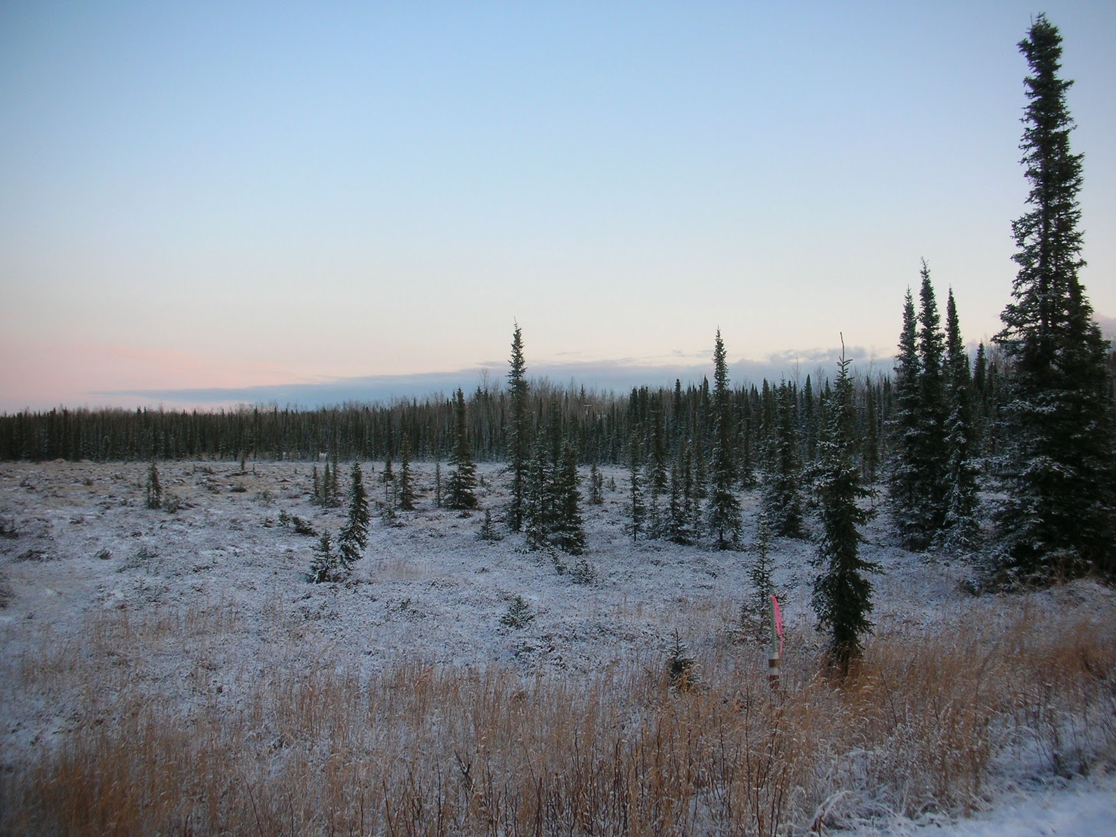 Martin in Alaska: October 2011