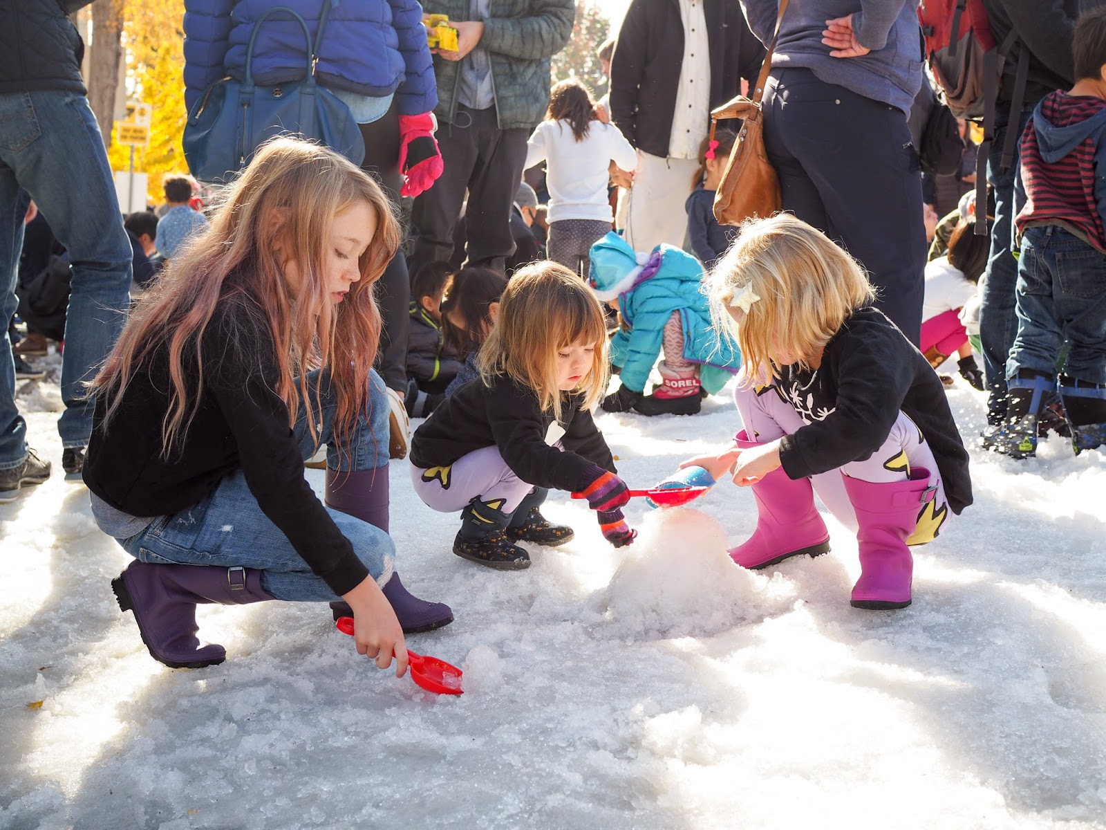 Little Hiccups: Berkeley Snow Day 2016