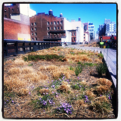 The High Line and Chelsea Market: A Good Pairing for a Walk