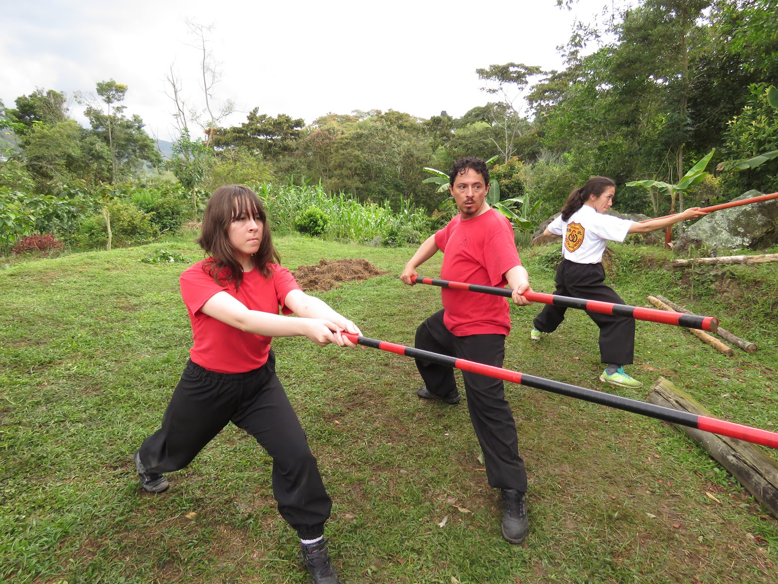 KUNG FU BOGOTÁ. : BASTÓN LARGO