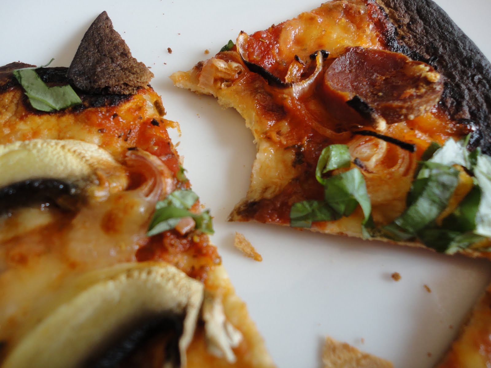 Babaduck: Speedy Tortizzas