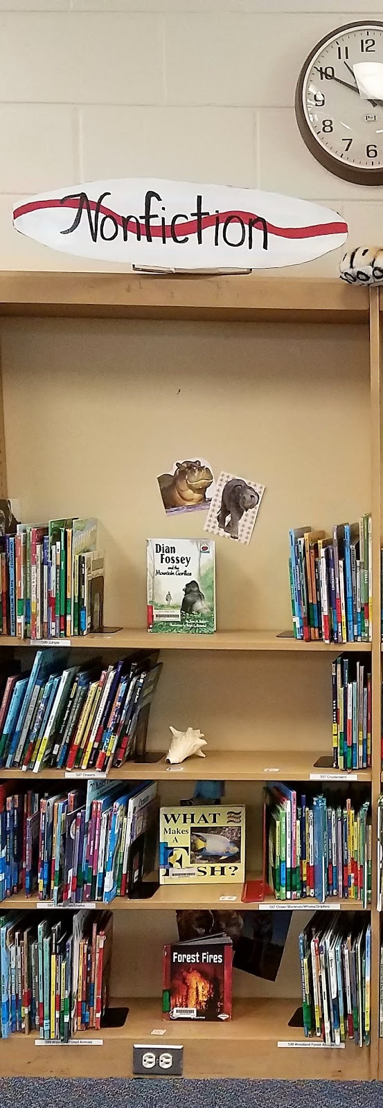 Beyond Stories and Books: Shelving, Spacing and Labeling...Oh My!