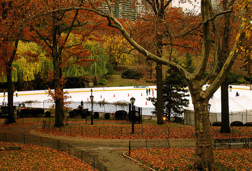 Espacio Público: CENTRAL PARK