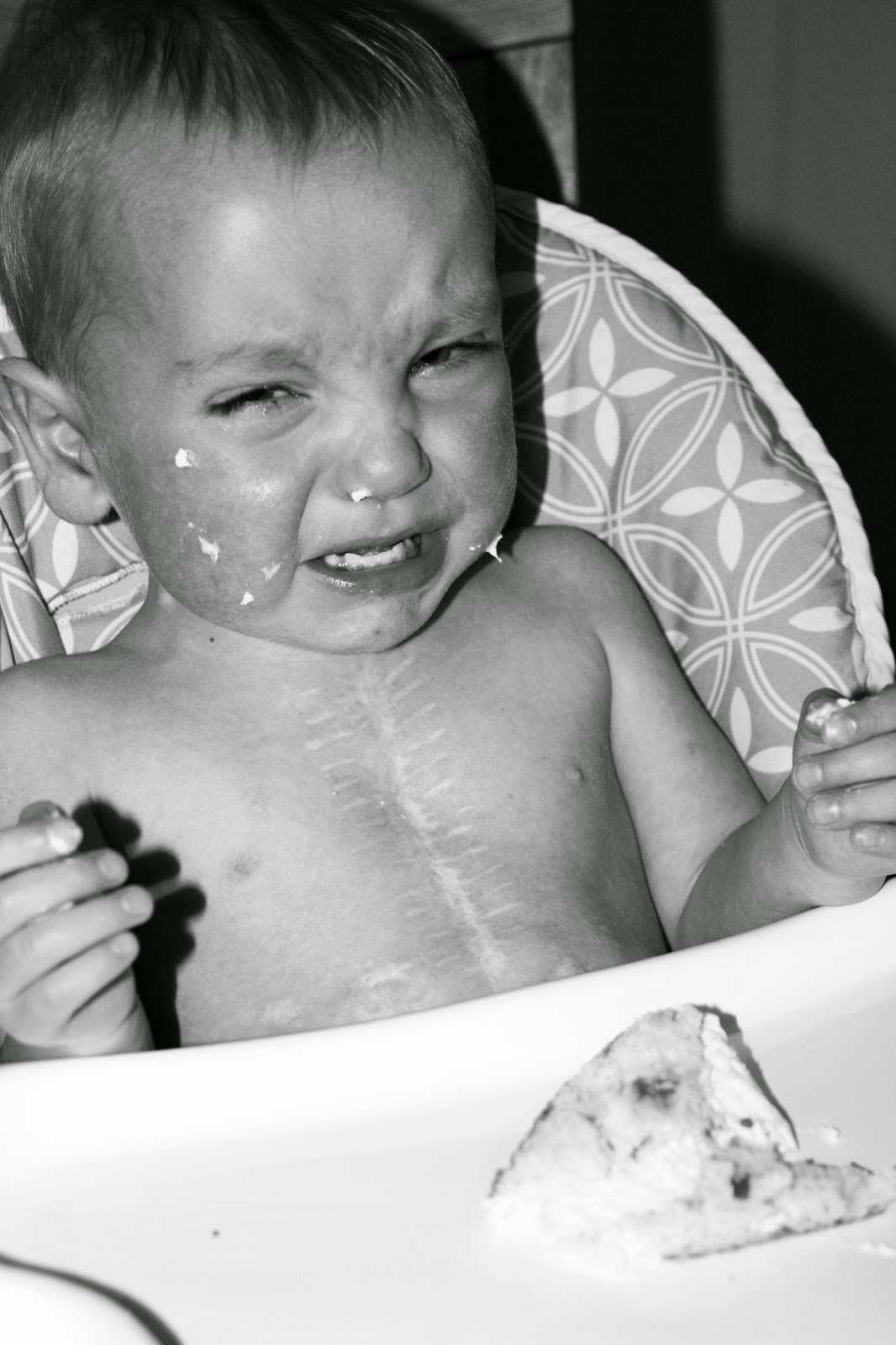 Bailey Beginnings: A Fresh Look at a New Life