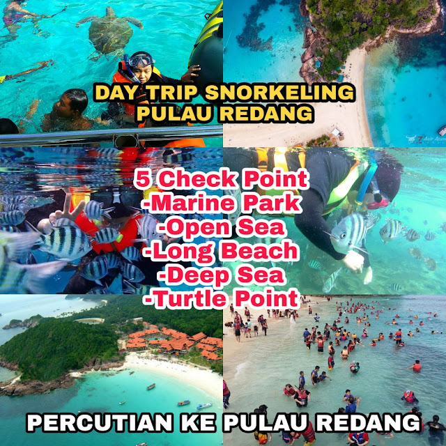 Percutian Ke PULAU REDANG: DAY TRIP SNORKELING (PAKEJ SEHARI MENYELAM ...