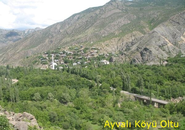 "Her Telden Erzurum ve Erzurumlu": AYVALI KÖYÜ