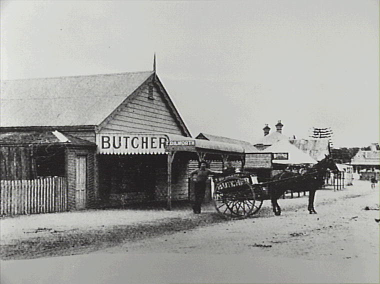 Historical Australian Towns: Springwood, NSW: A Pretty Wooded Plain ...